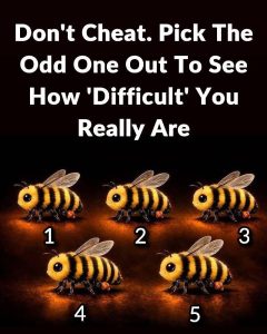 Don’t Cheat. Pick The Odd One Out To See How ‘Difficult’ You Really Are ...
